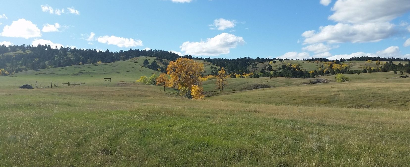 Contact Us | Blue Ladder Construction